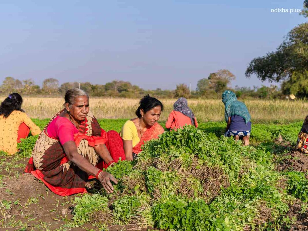 Unseen & Unpaid: Women Farmers in India’s Agriculture